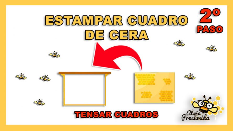 Colocar Alza Melaria 🐝 Paso 4