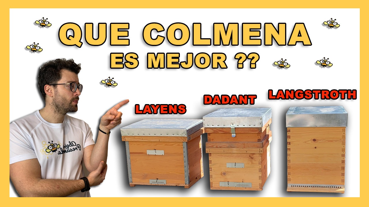 🐝 Tipos de Colmenas | Comparativa Completa y Actualizada