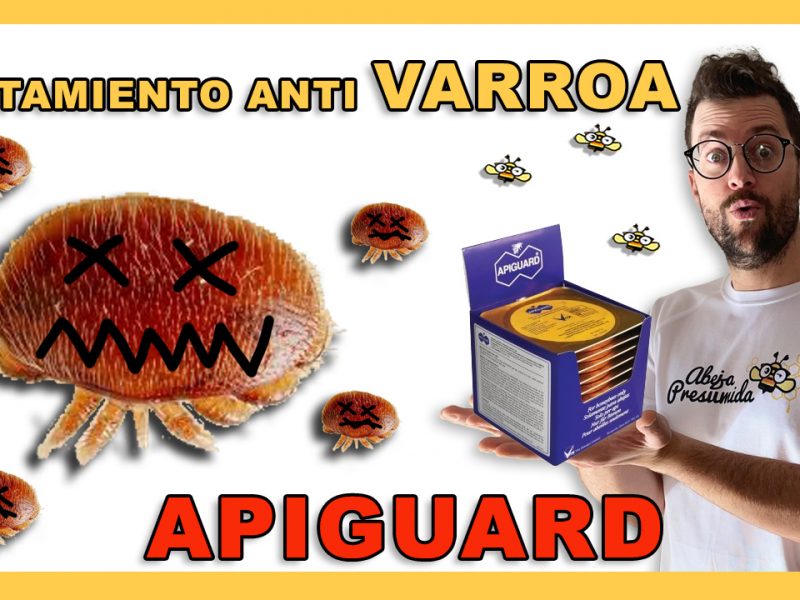 🦠 Loque Europea | Síntomas, Tratamiento y Prevención