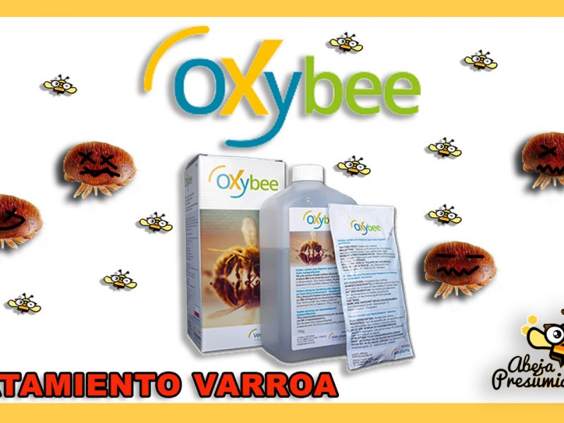 🦠 Loque Americana | Guía Completa de Síntomas y Tratamiento