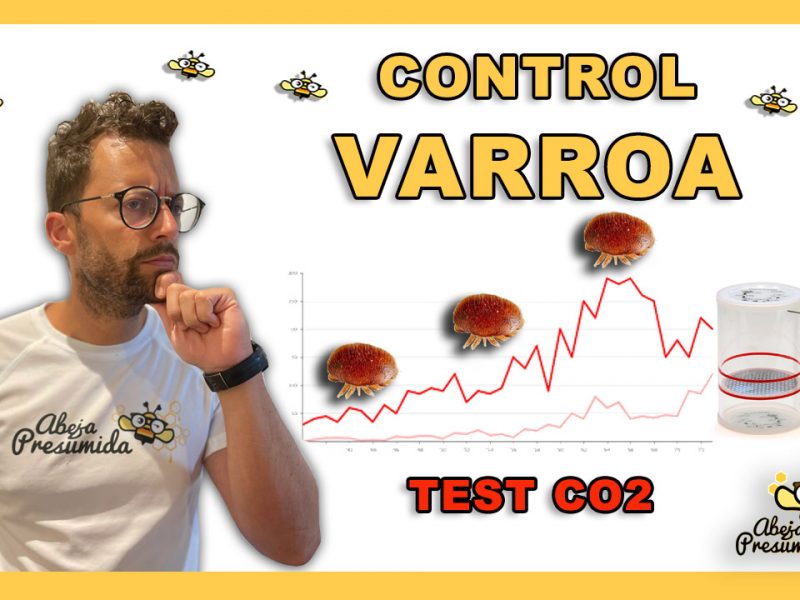 🦠 Loque Europea | Síntomas, Tratamiento y Prevención