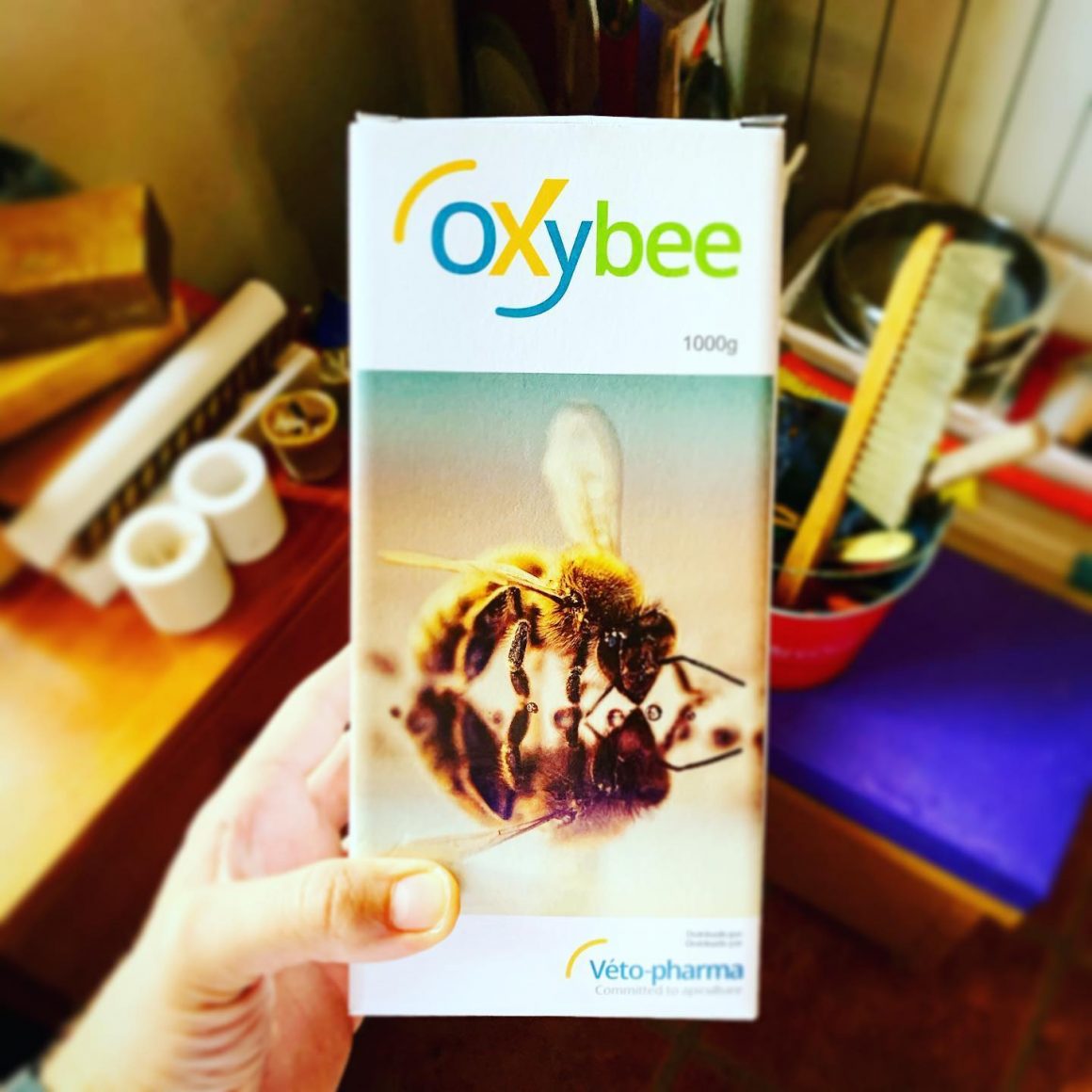 🐝 Oxybee | Tratamiento Ecológico contra la Varroa
