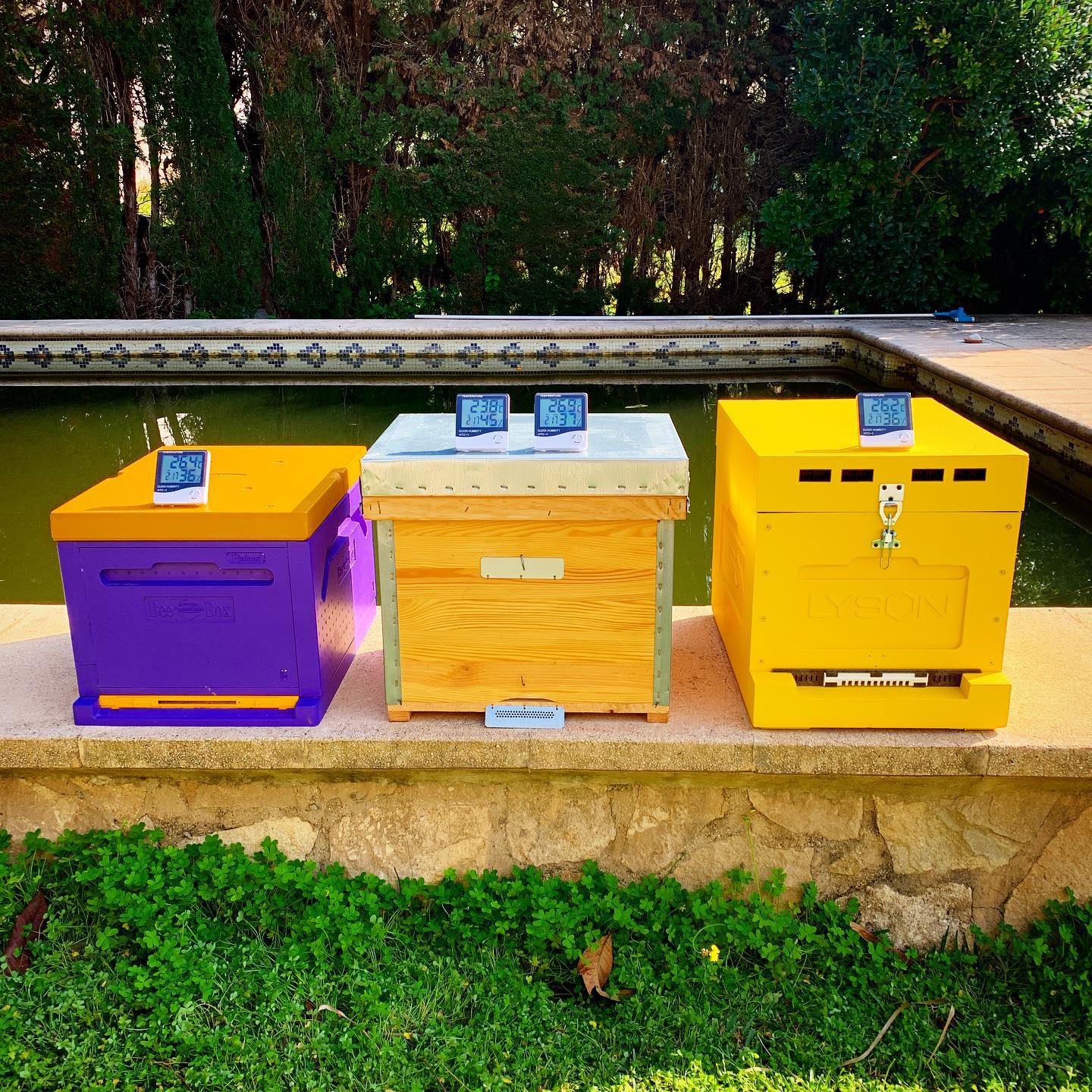 🐝 Tipos de Colmenas | Comparativa Completa y Actualizada